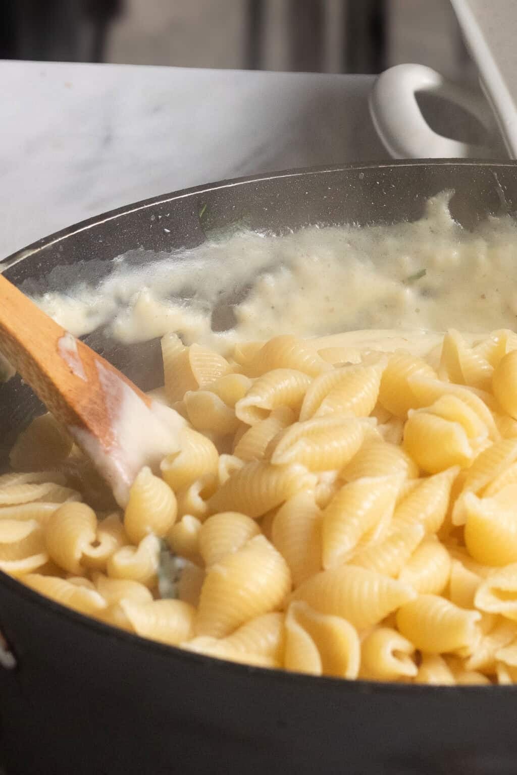 White Sauce Chicken Pasta Bake - Flour & Spice