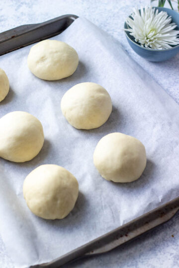 Pappa Roti Recipe - Flour & Spice