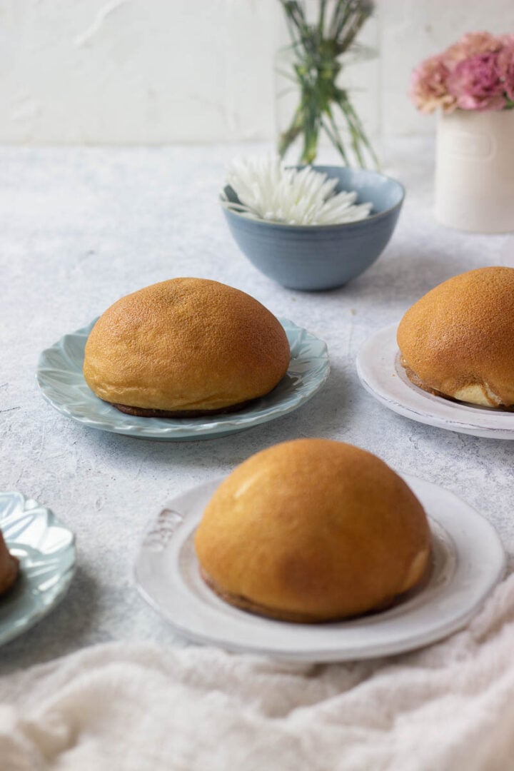 Pappa Roti Recipe - Flour & Spice