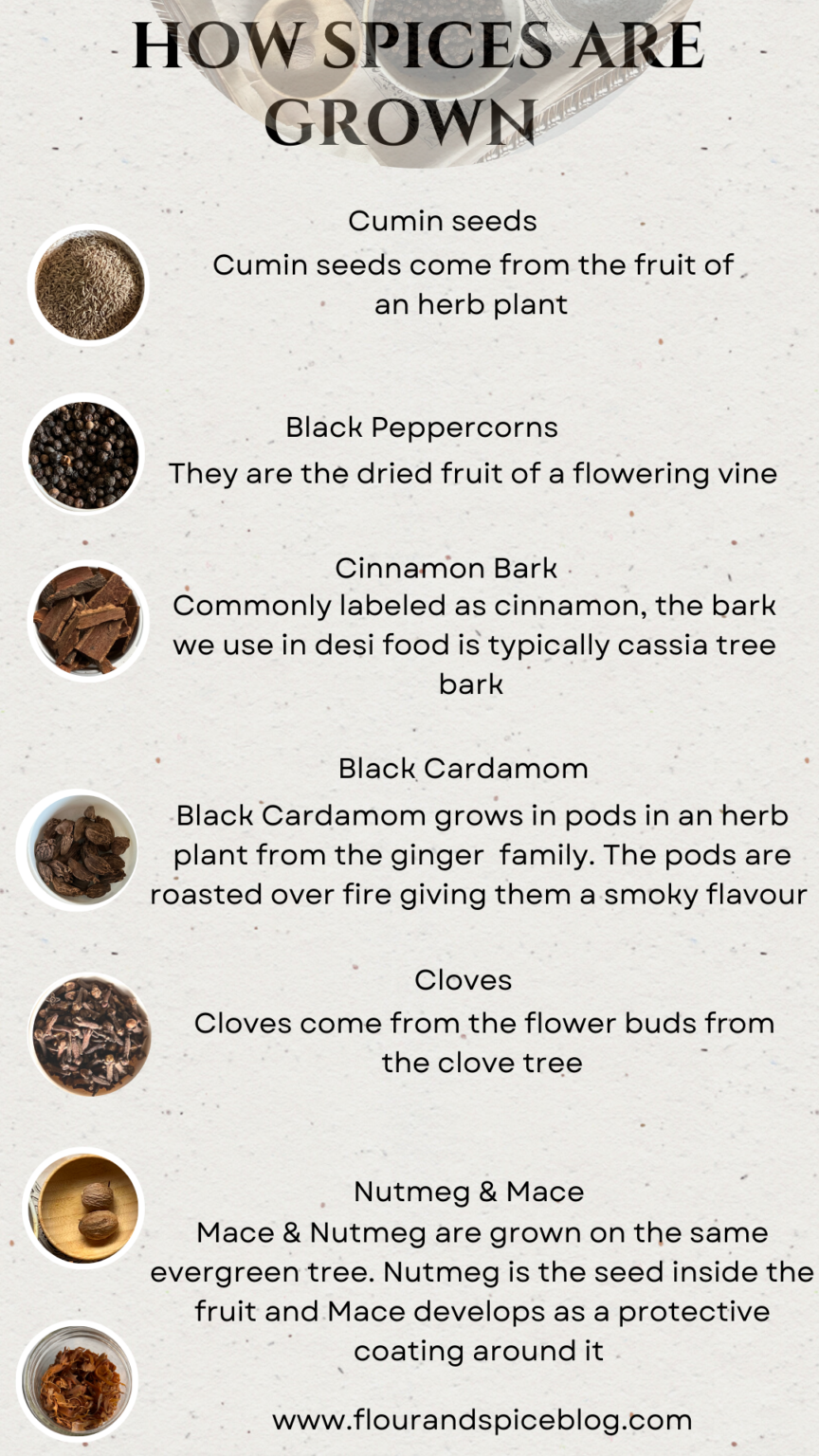 Pakistani Garam Masala Recipe - 10 Minutes - Flour & Spice